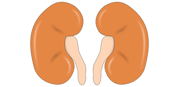 Chisturi la rinichi: simptome, cauze, tratament - Cancer360