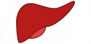 Ficat marit – simptome, cauze si tratament - Cancer360